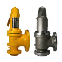 Broady Safety Valves - Safety & Pressure Relief Valves - Virago Valves